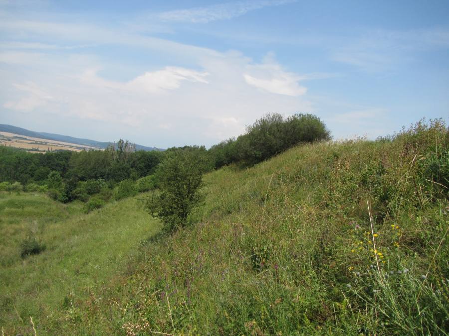 Stepní stráně u Komořan - ISOP Portál